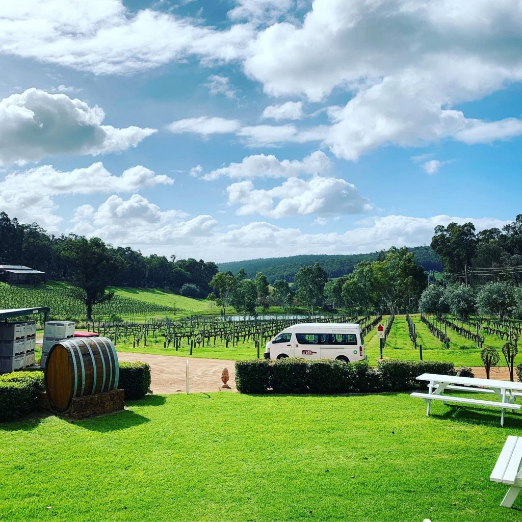 Surprises that you can find at Bickley Valley! - d'Vine Wine Tours